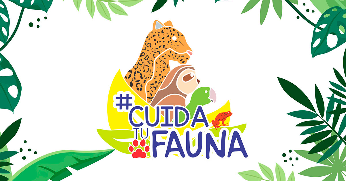 Mono choro – Cuida tu fauna